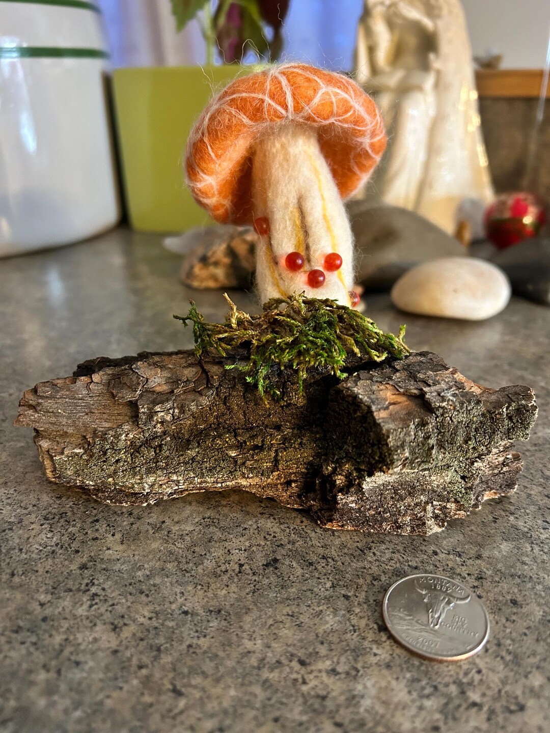 Felted Wrinkled Peach or Rosy Vein Cap Mushroom Fungus Fungi, Rhodotus ...