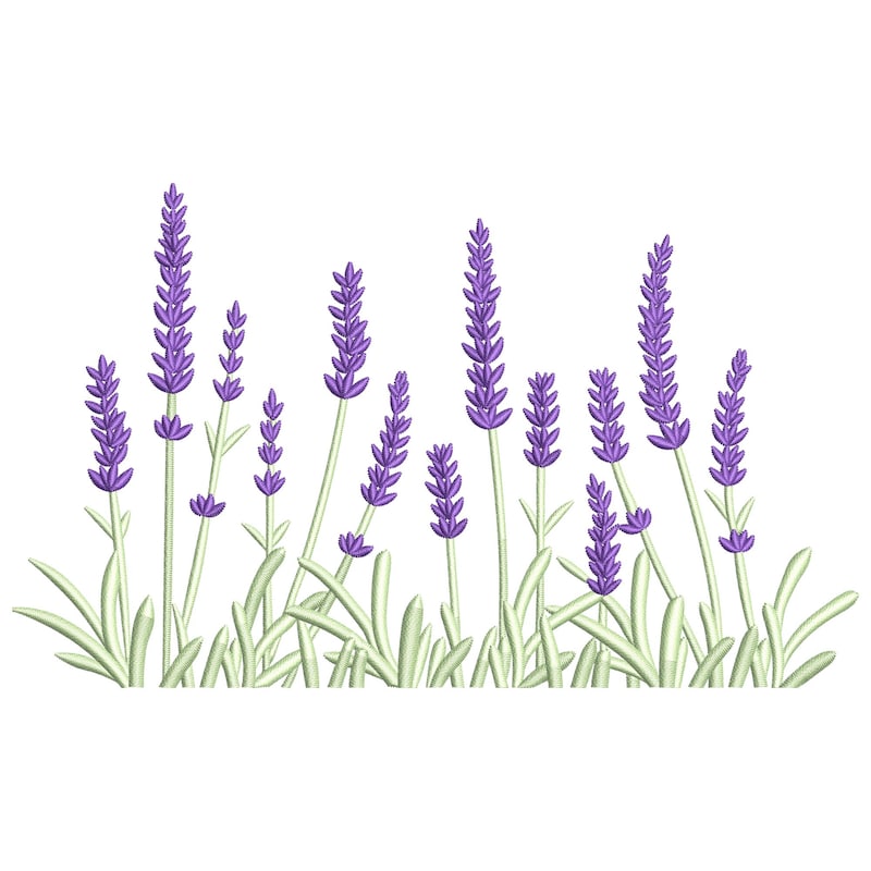 Lavender Border Designs - Etsy UK