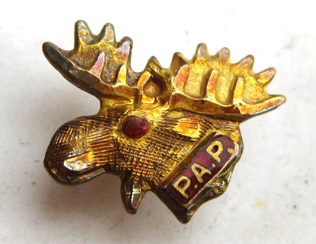Vintage 50s Loyal Order of Moose 14k Gold Enamel Lodge Member Lapel Pin ...