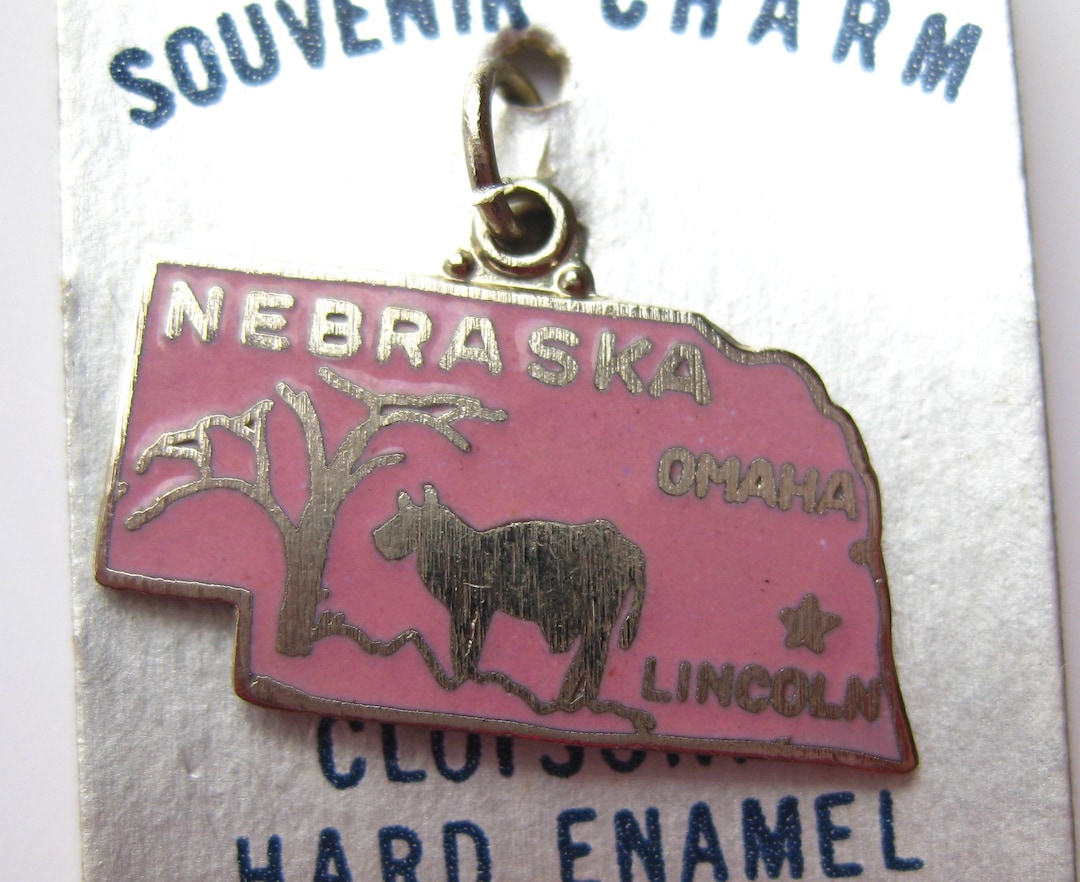 Nebraska Charm State Map Silver Pink Enamel Souvenir Bracelet Charm - Etsy