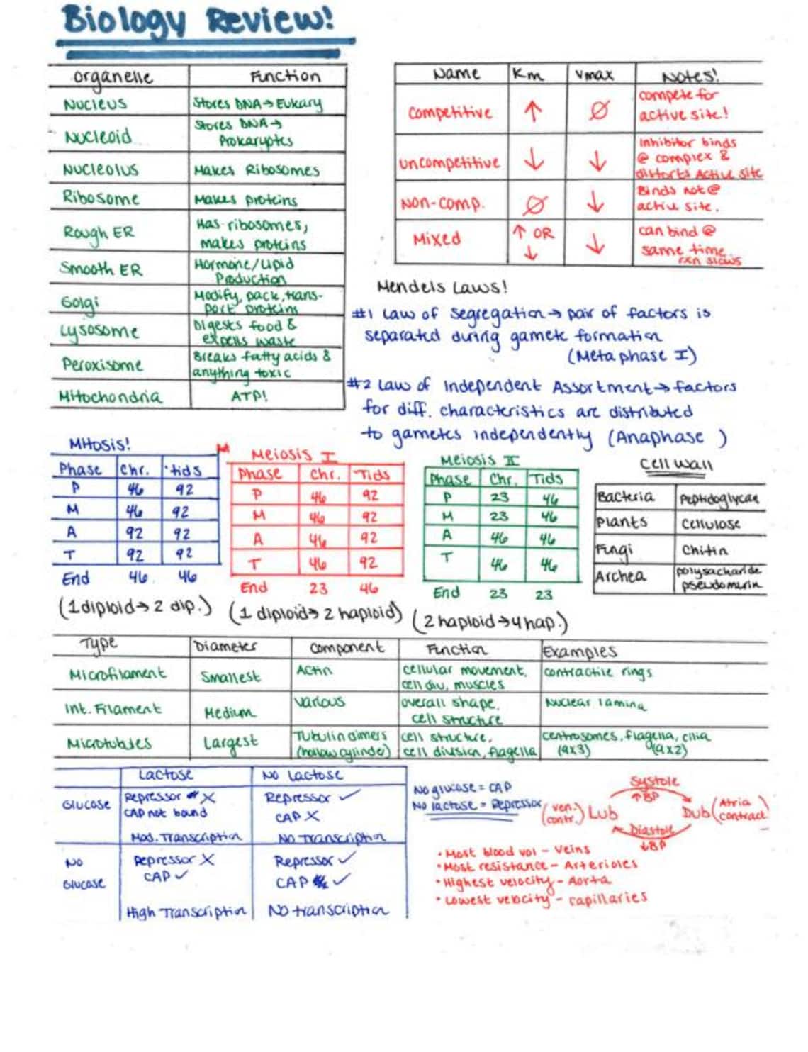 Ultimate Mcat Study Notes Biology Chemistry Physics Psychology