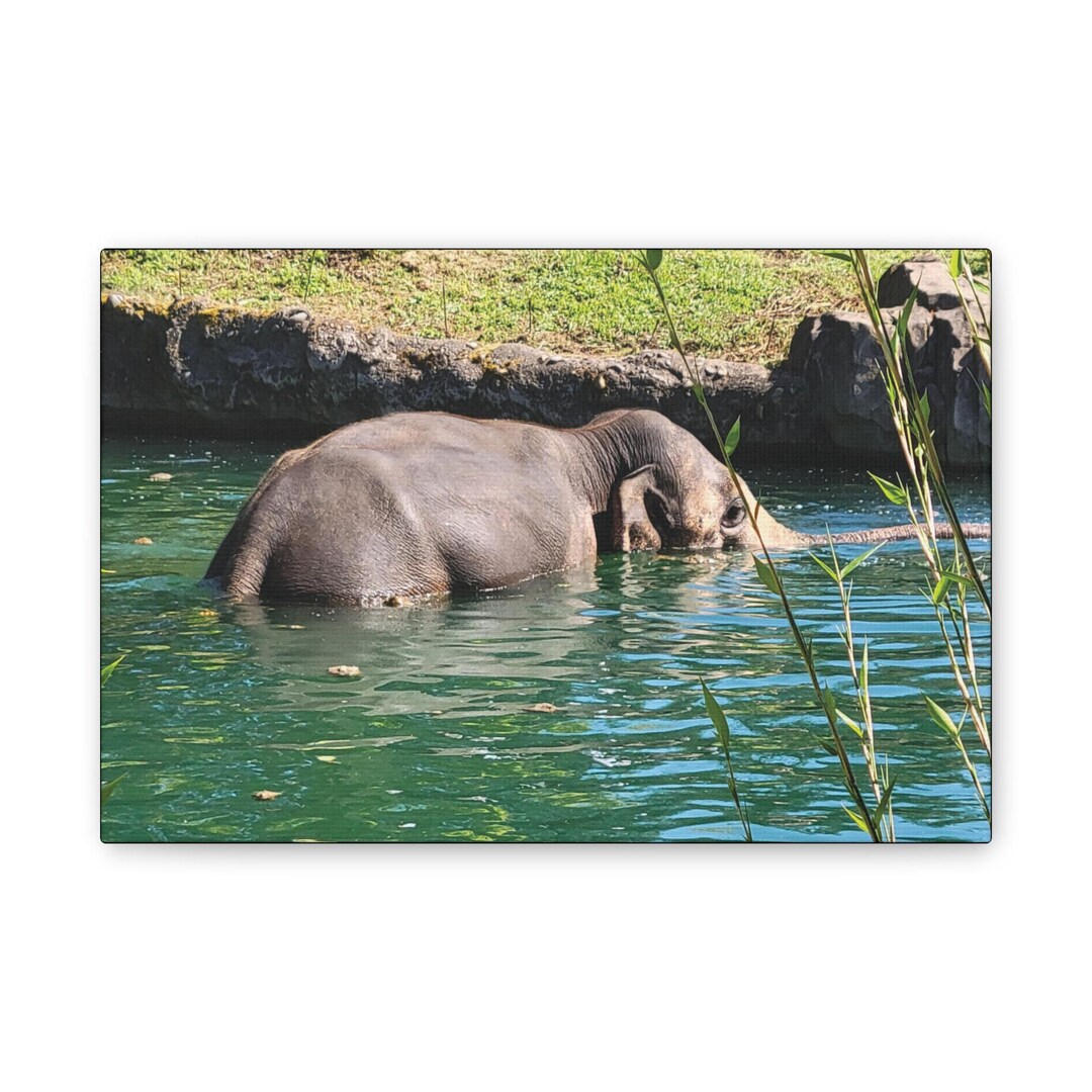 Canvas Stretched, Elephant in Water Wall Art Print, Home Decor ...