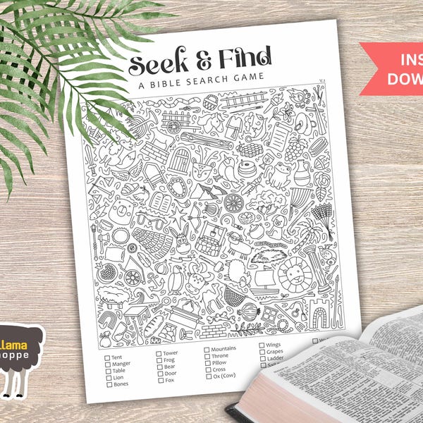Bible Seek and Find - Etsy