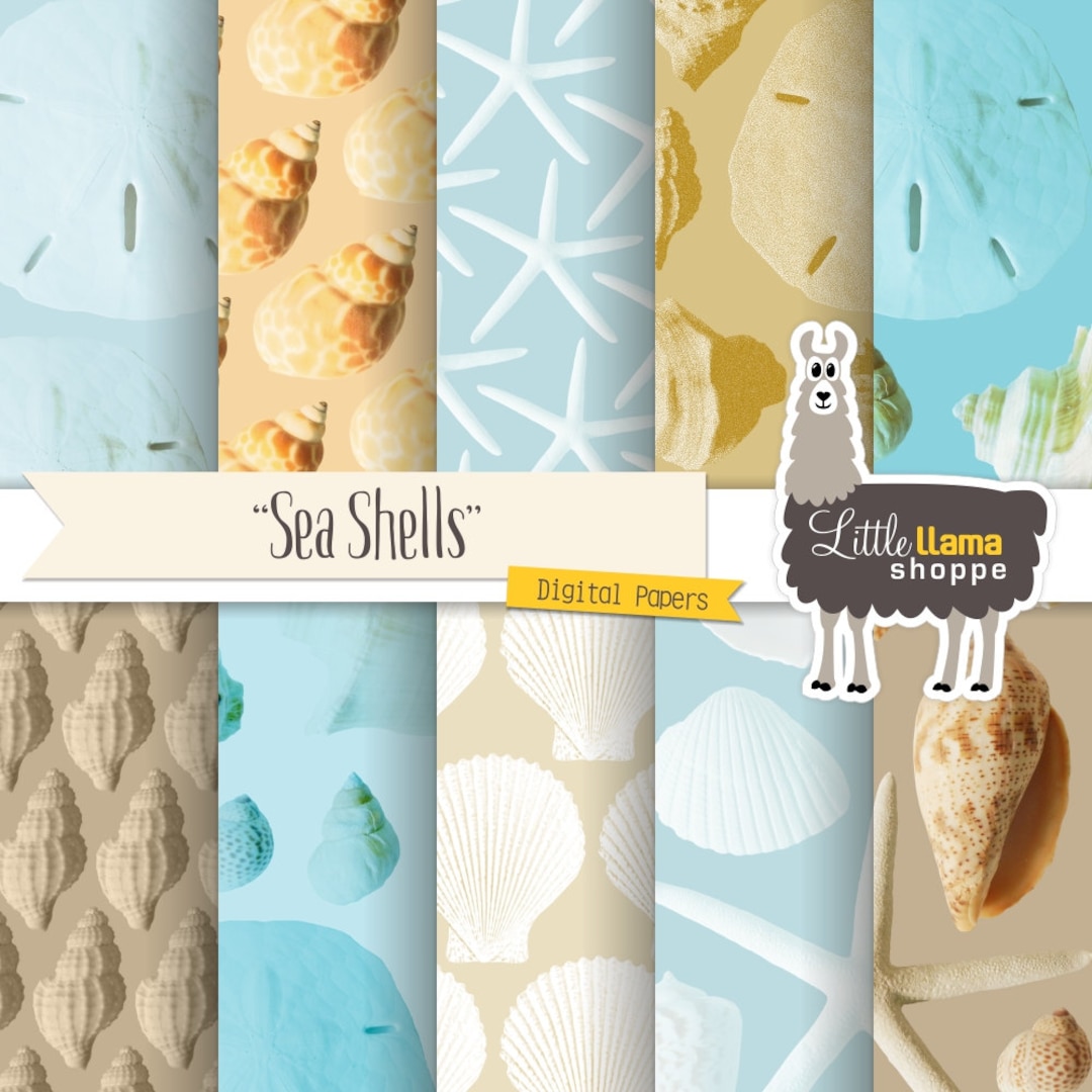 Sea Shell Digital Paper, Beach Digital Backgrounds, Seashell Scrapbook ...