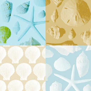 Sea Shell Digital Paper, Beach Digital Backgrounds, Seashell Scrapbook ...