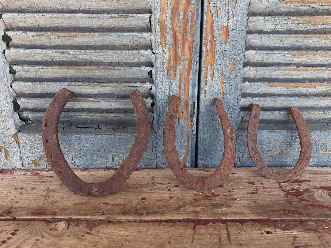 Vintage Horseshoe Collection Set of Three - Etsy