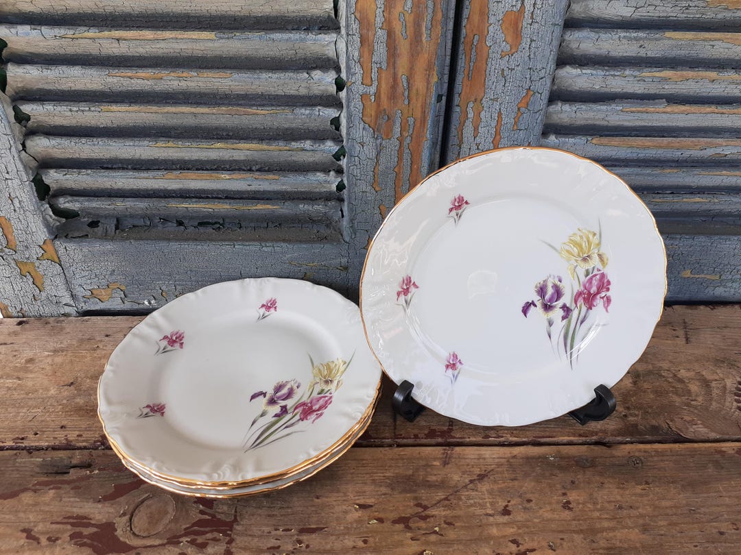 Winterling Bavarian China Salad Plates St of Four Multi Colored Irises ...