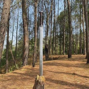 Roman Gladius Replica With Leather Scabbard - Etsy