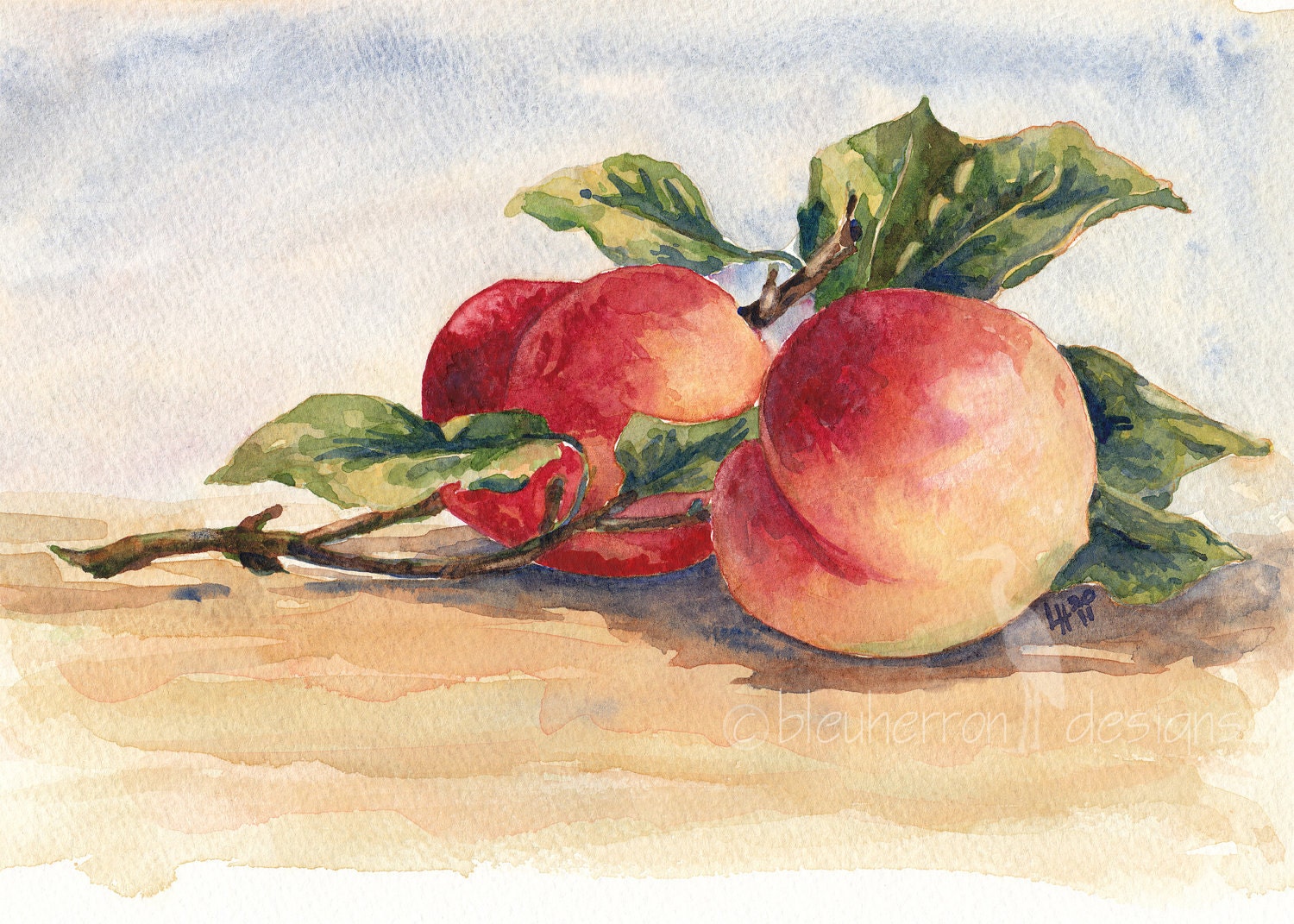 Watercolor Paintings Of Fruit