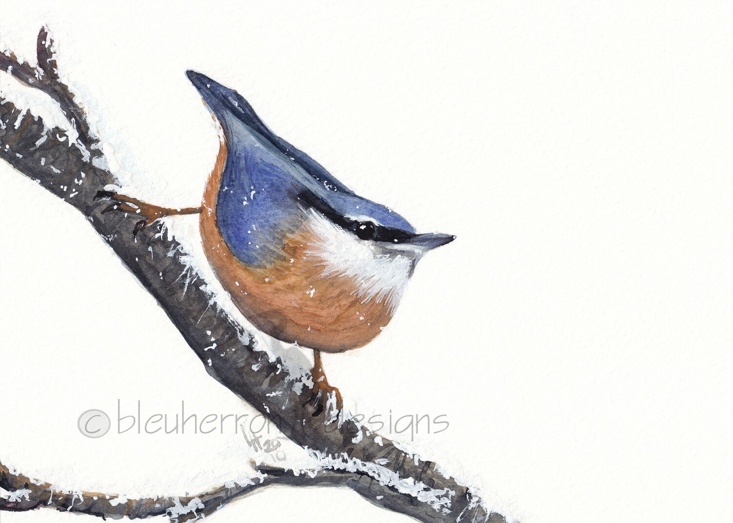 Blue Bird Painting Nuthatch Watercolor Art Print - Etsy