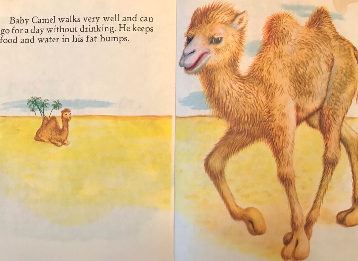 1979 Little Golden Book Baby Animals by Garth Williams FREE - Etsy