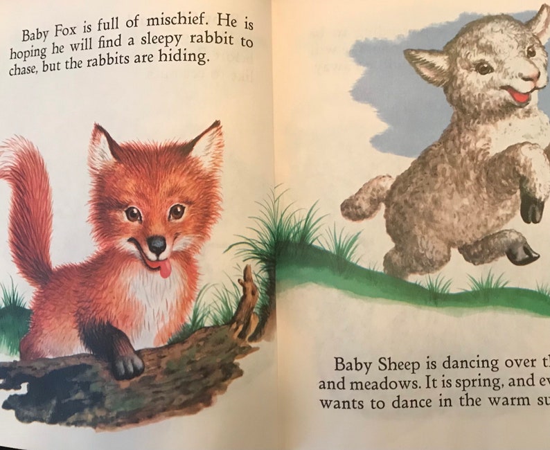 1979 Little Golden Book Baby Animals by Garth Williams FREE - Etsy