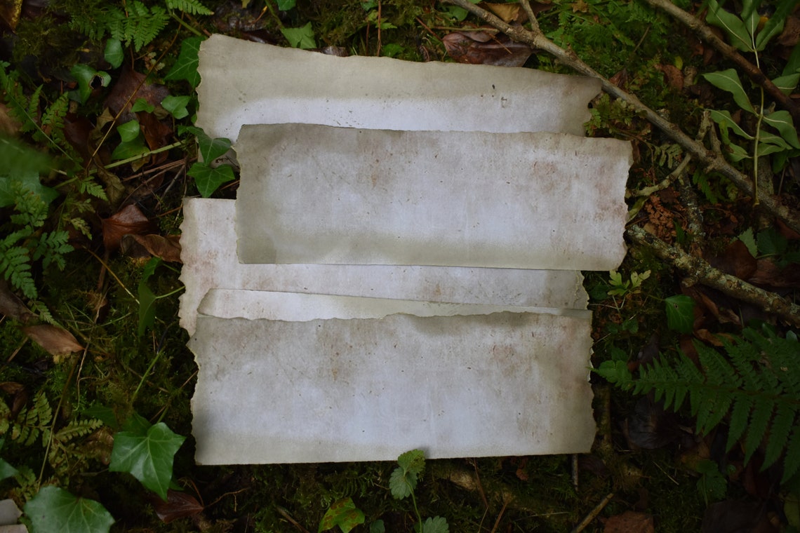 Survivor Voting Parchments X 10 - Etsy