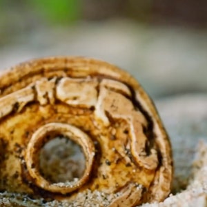 Survivor Fire Token Replica Winners at War - Etsy