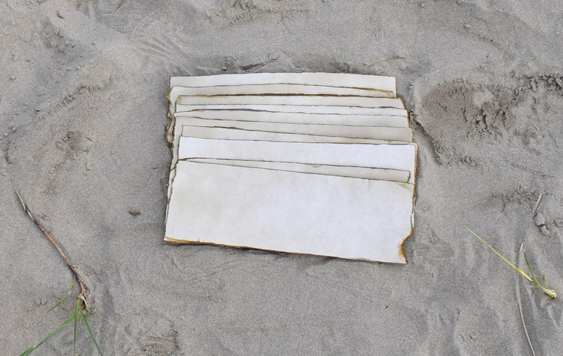 Survivor Voting Parchments X 10 - Etsy