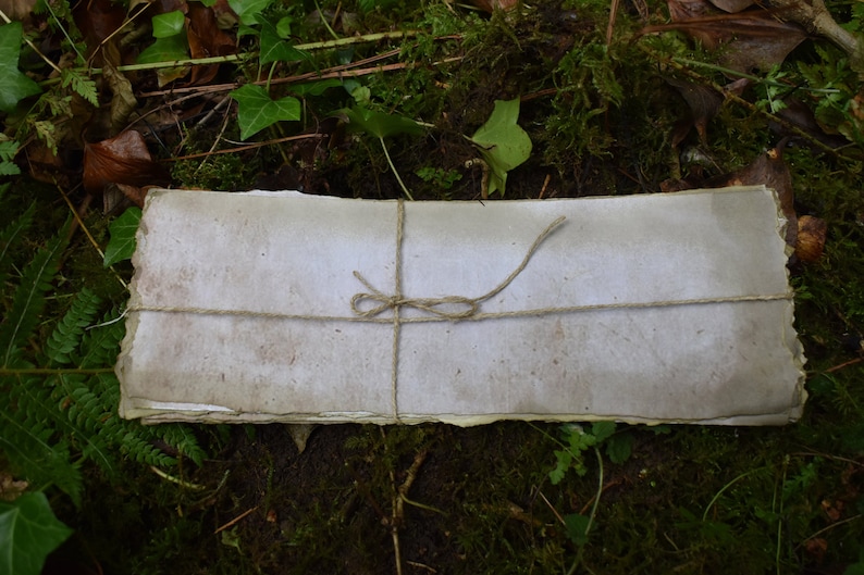 Survivor Voting Parchments X 10 - Etsy