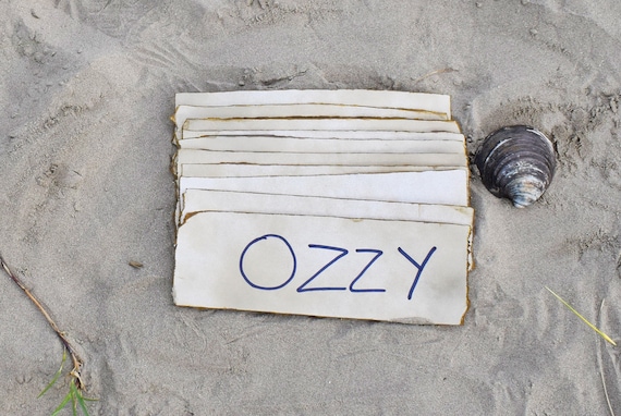 Survivor Voting Parchments X 10 - Etsy