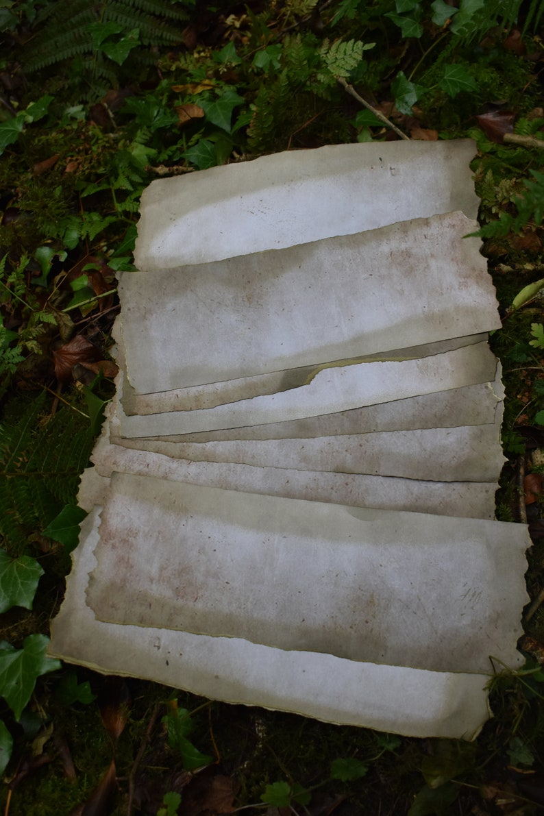 Survivor Voting Parchments X 10 - Etsy