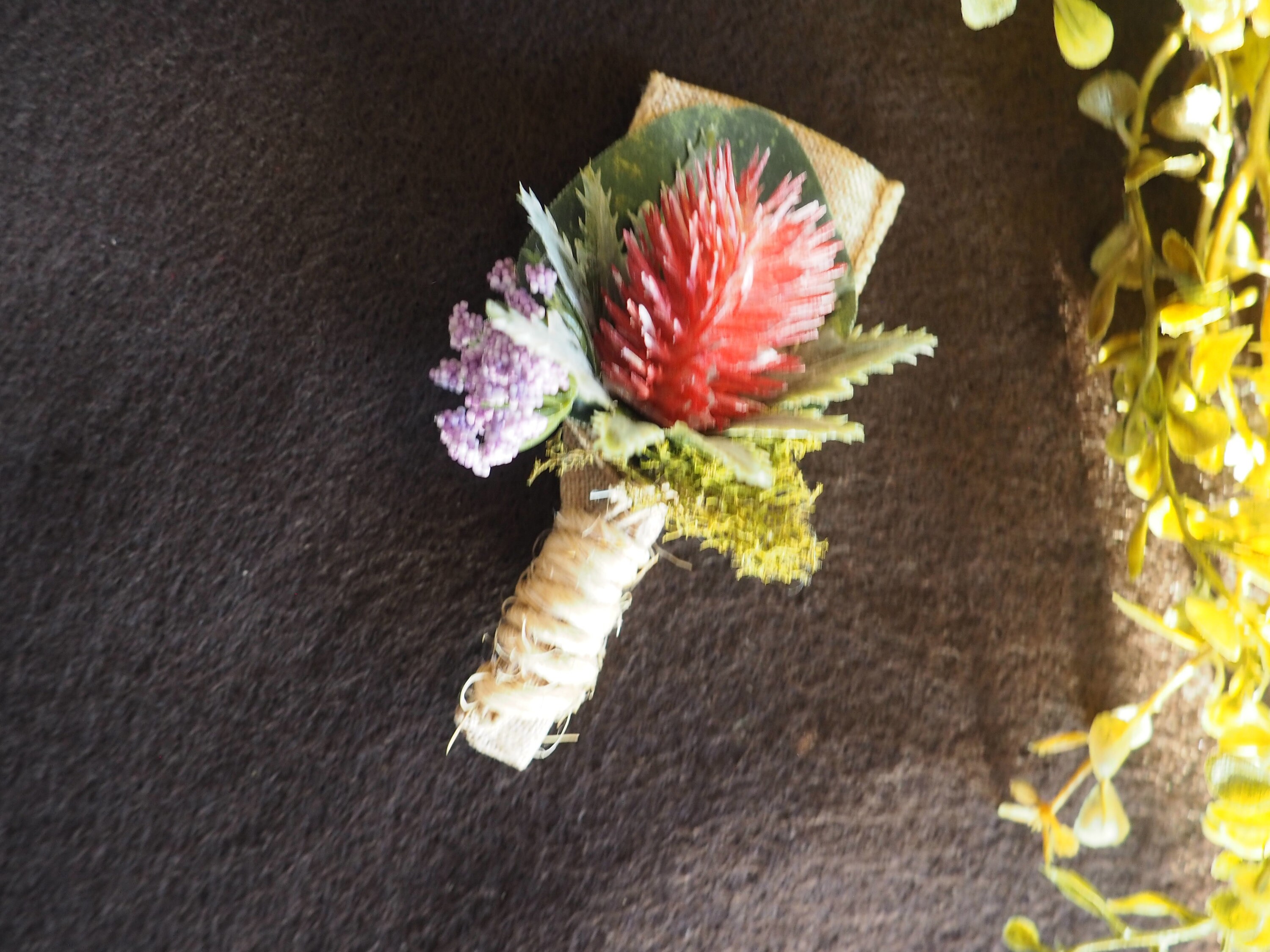 Scottish Thistle Boutonniere, Buttonhole, Highland Games/ Cranberry ...