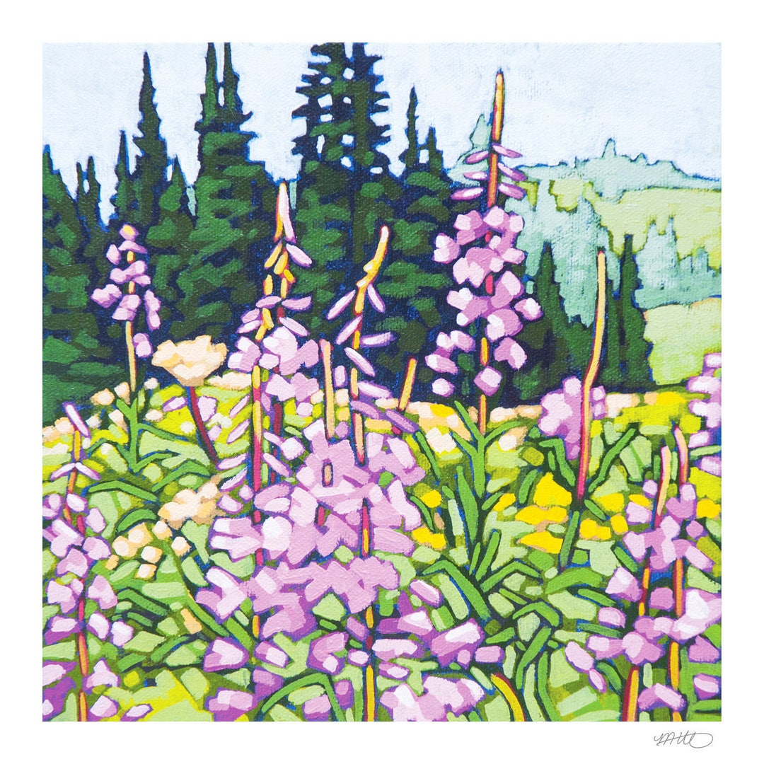 Floral Art Print, 8" X 8" - Fireweed - Etsy Canada