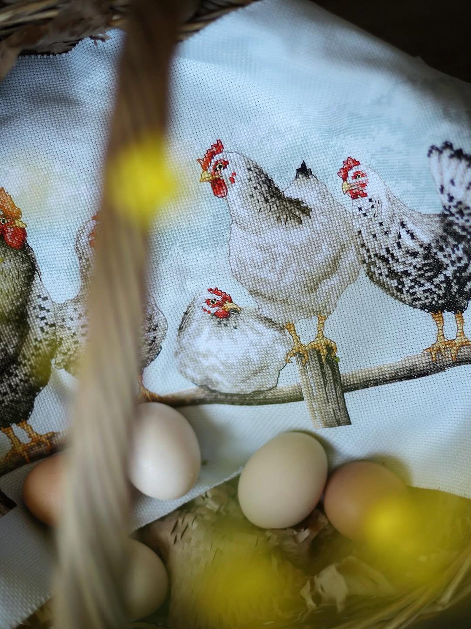 Cross Stitch Pattern Chickens and a Rooster, PDF + XSD Saga, Bird ...