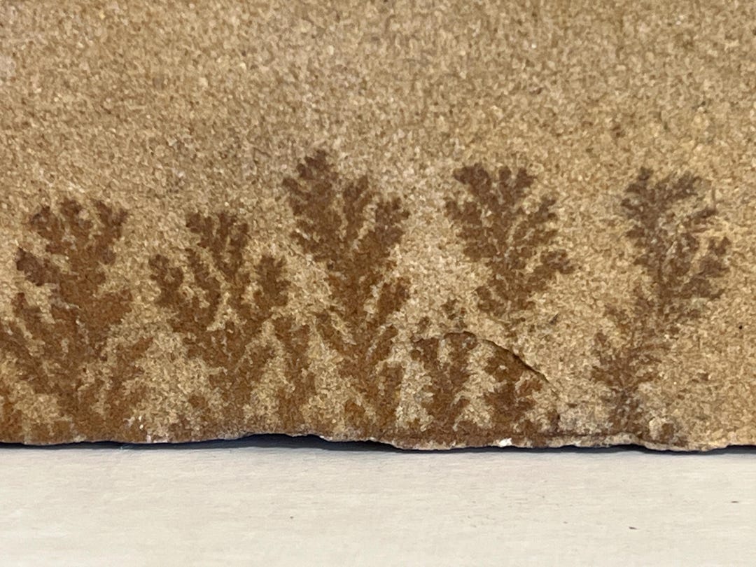 Sandstone Manganese Dendrite - Etsy