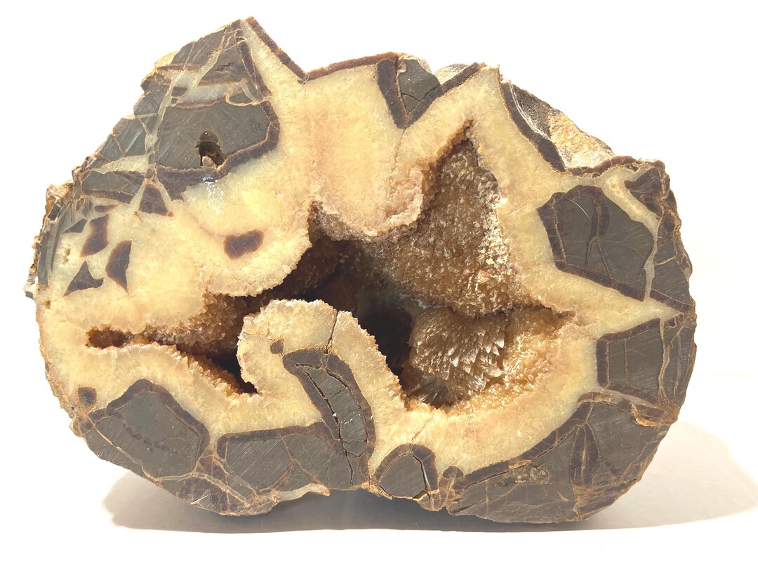 Utah Septarian Nodule With Crystal Cavity Geode - Etsy