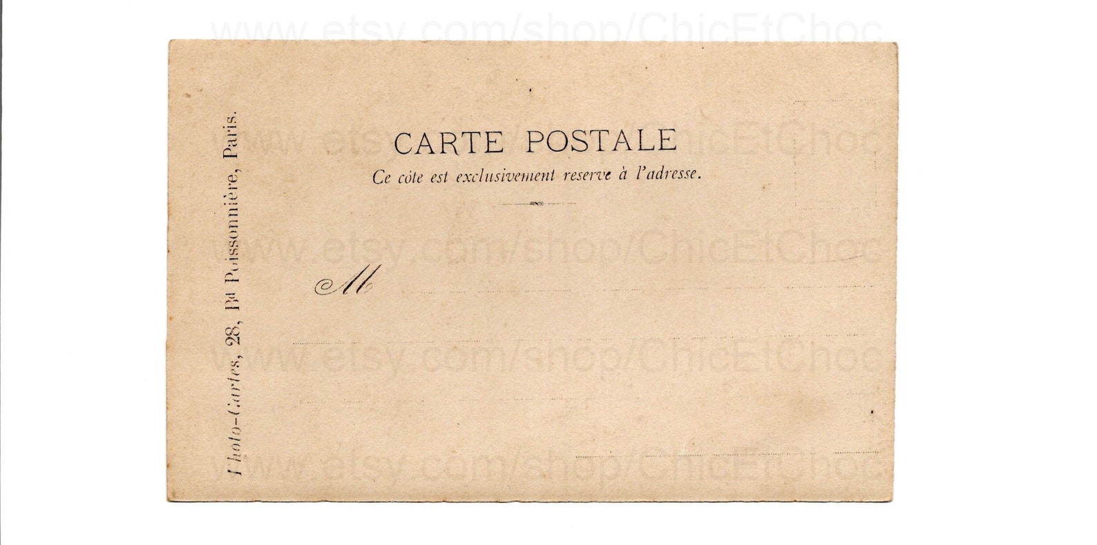 French Antique Unused Real Photo 'vignette' Postcard - Etsy