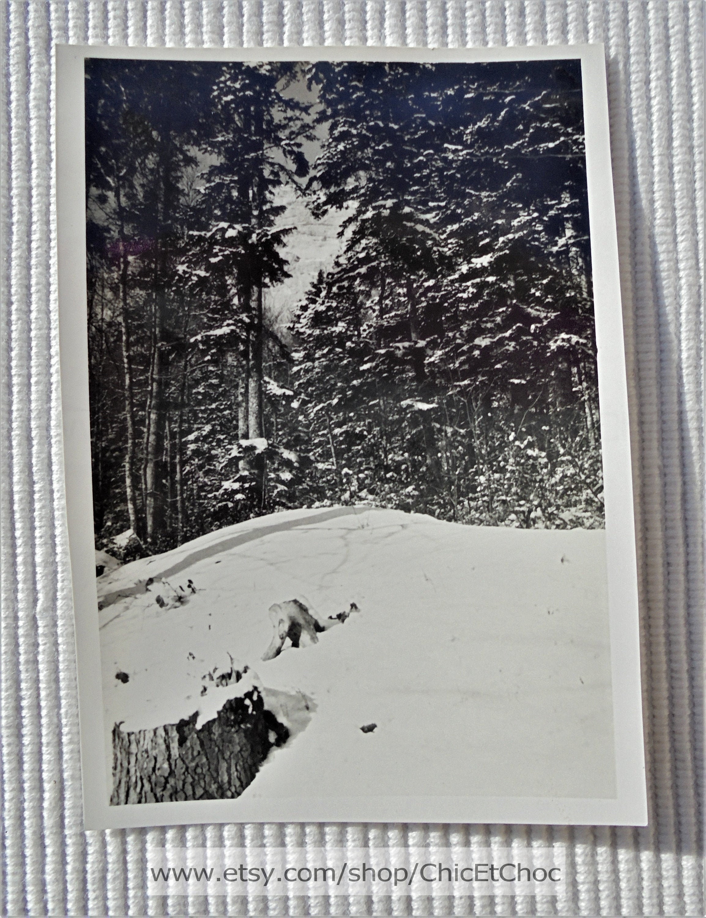 Vintage Winter Photo Snow Covered Country Scene | Etsy