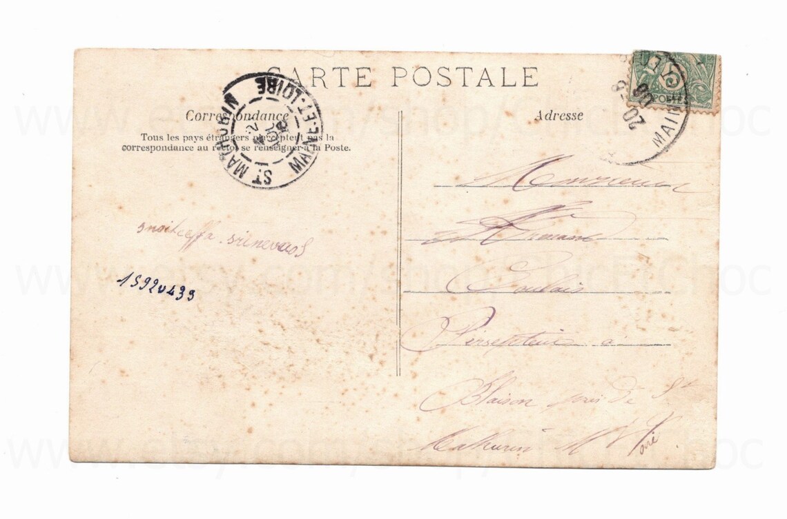 French Antique Postcard - the Lily / Le Lis - Etsy