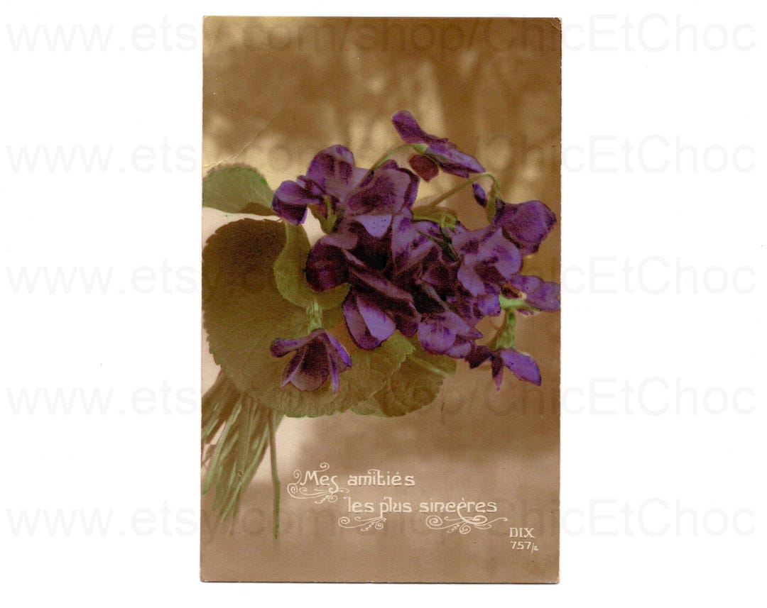 Old French Floral Postcard - Bunch of Violets - Etsy