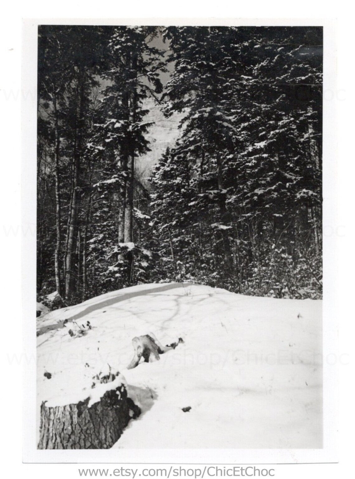 Vintage Winter Photo Snow Covered Country Scene - Etsy