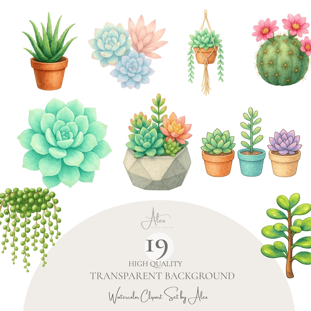 Succulent Clipart Set, Cactus PNG Bundle, Boho Plant Clipart, Fast ...