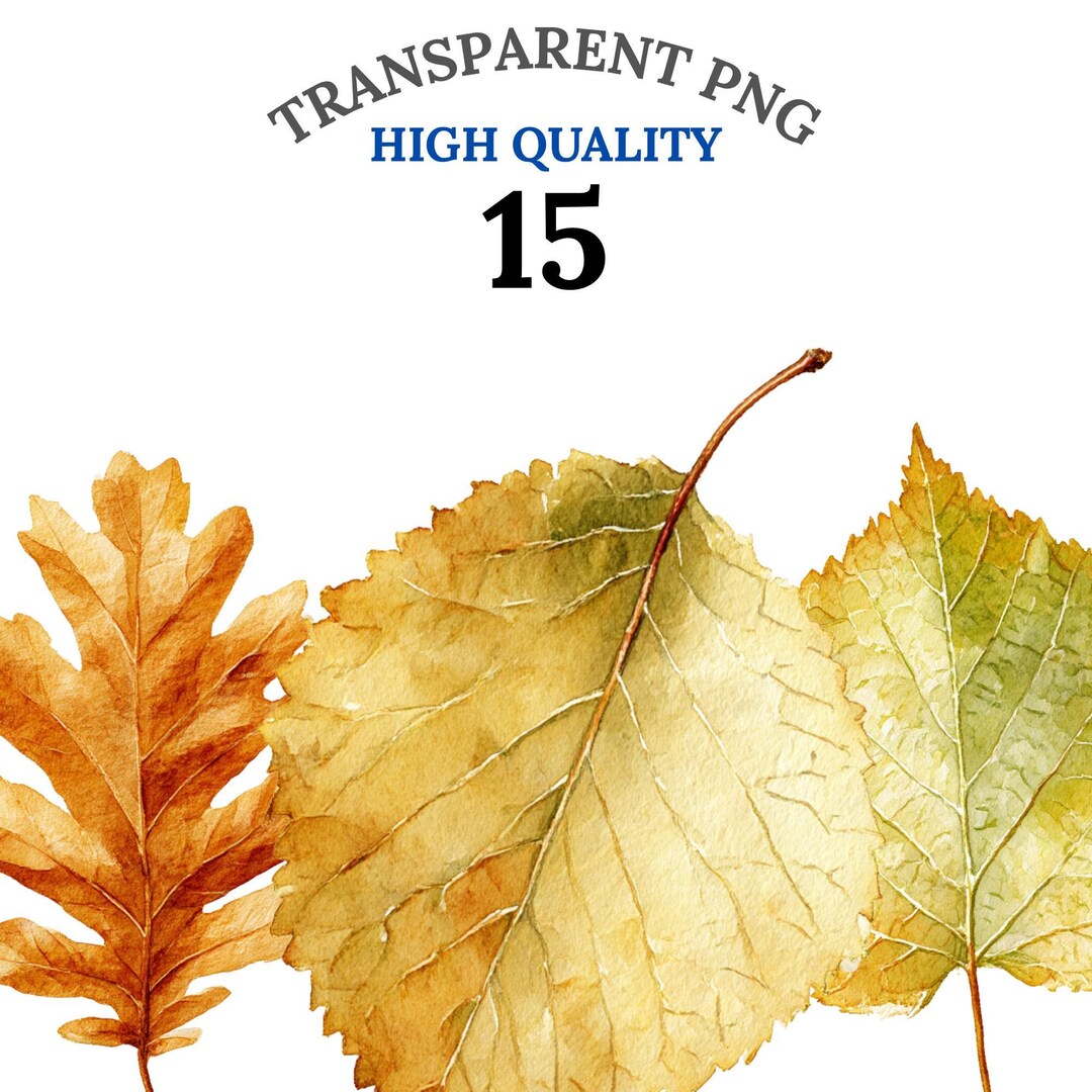 15 Autumn Leaf Clipart PNG, Maple Oak Fall Leaves, Autumn Foliage ...