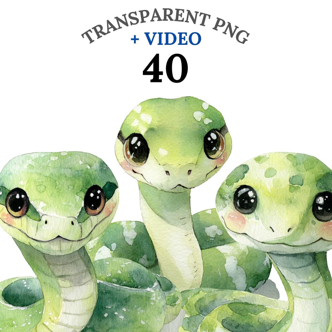 40 Cute Snake Clipart PNG + Video, Cartoon Baby Snake & Reptile Clipart ...
