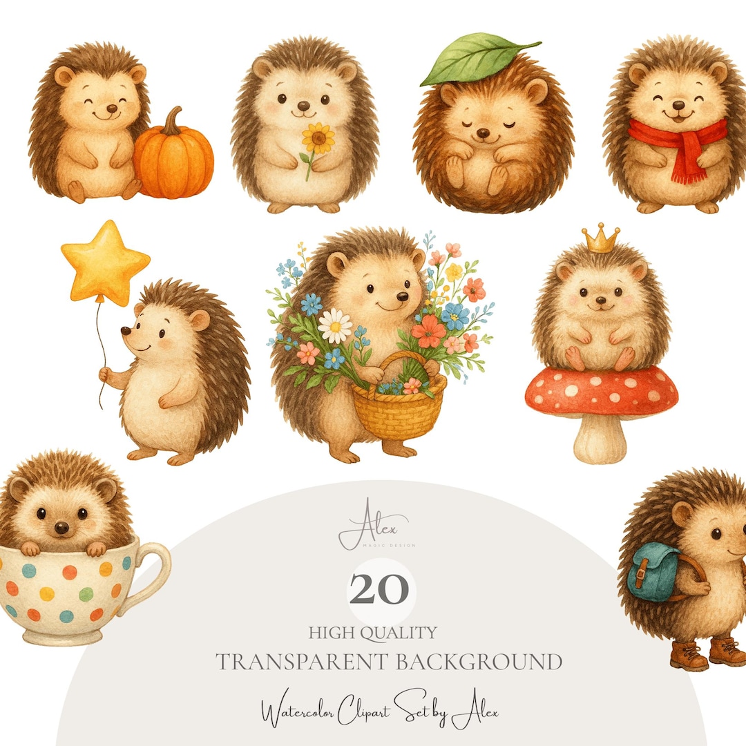 Hedgehog Clipart Set, Cute Woodland Animals PNG, Forest Animal ...