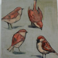 YOUNG SPARROW: Signed Print of a Watercolour Painting by Jan Taylor ...