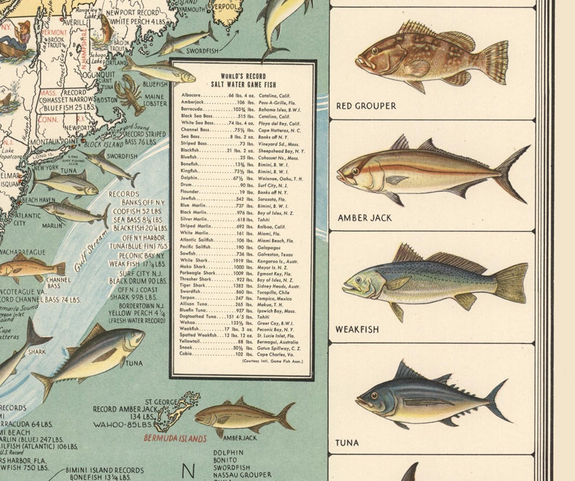 Big Game Fish - Map - Vintage Map - Poster - Print - Vintage - Lake ...