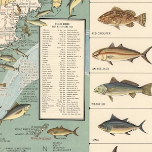 Big Game Fish - Map - Vintage Map - Poster - Print - Vintage - Lake ...