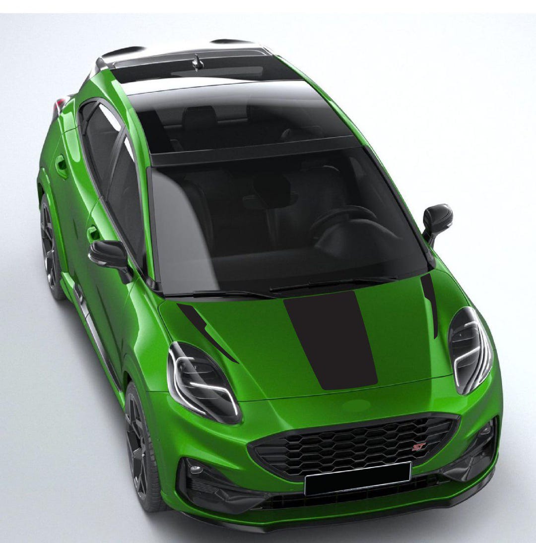 Puma Racing Stripes Vinyl Decals - Hood, Roof & Trunk Set - Etsy