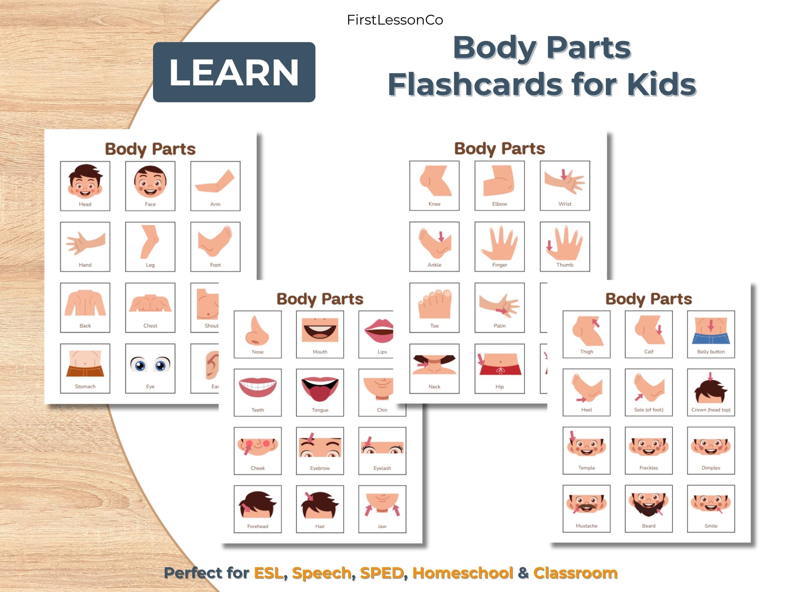 Body Parts Flashcards for Kids: ESL & Speech Therapy (digital Download ...