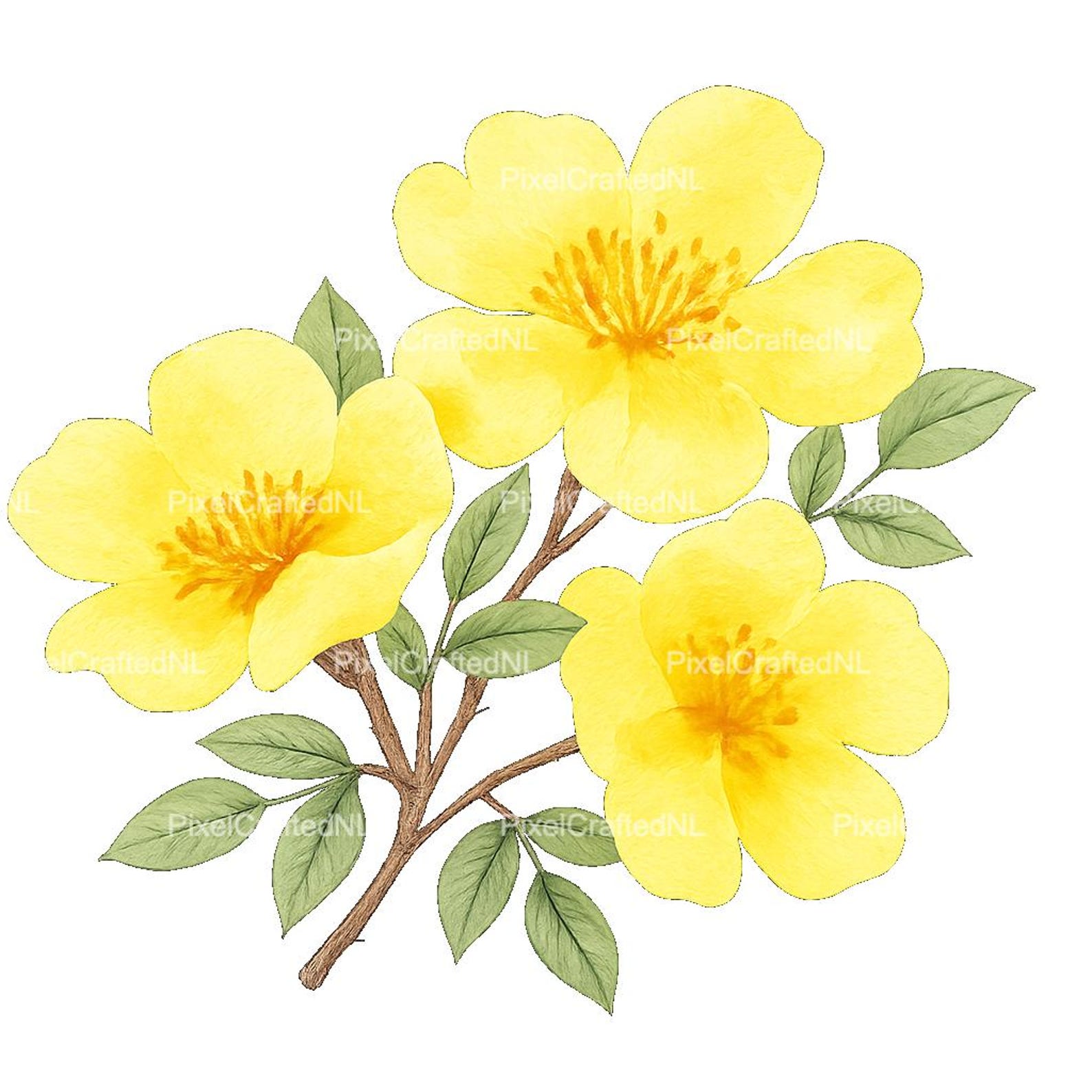 30+ Yellow Flowers Bouquet Clipart Printable Clipart High-quality PNG ...