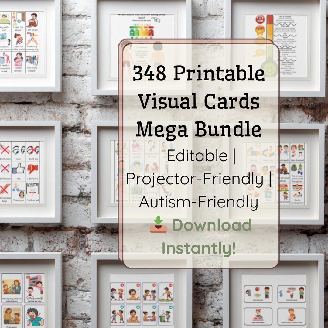 Mega Bundle for Nonverbal Kids – 348 Visual Supports & Posters - Etsy