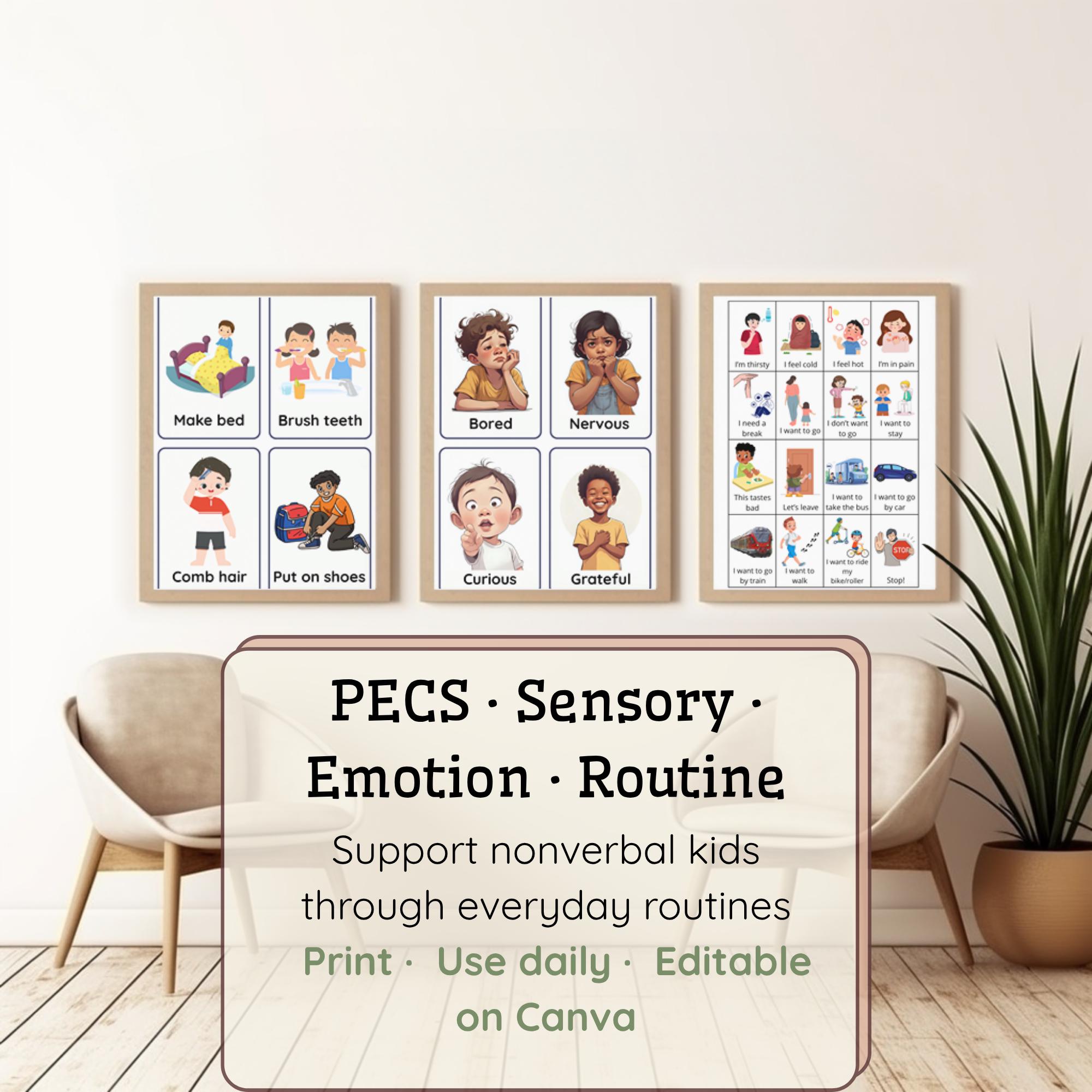 Visual Support Bundle for Nonverbal Kids – PECS, Routine, Feelings ...