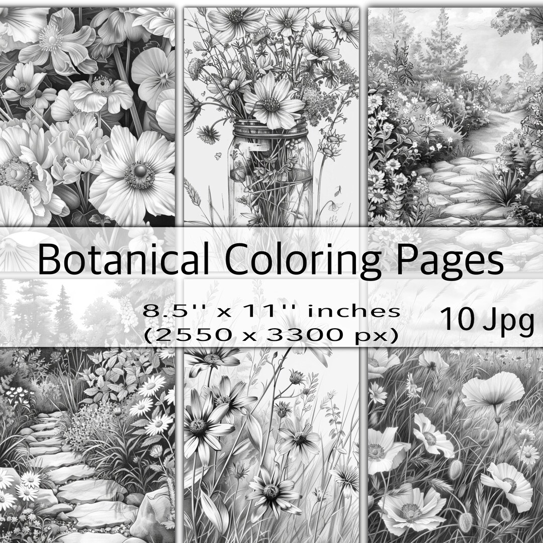 Botanical Coloring Pages: Floral Garden Designs (digital Download 8 ...