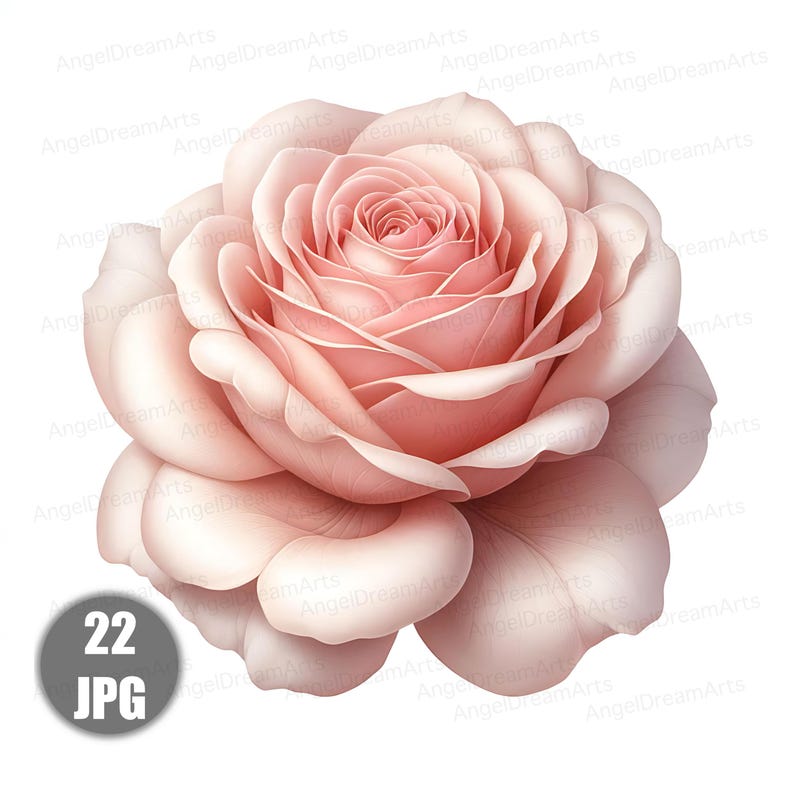 22 Blush Pink Roses Clipart Bundle: Soft Watercolor Rose Flowers (JPG ...