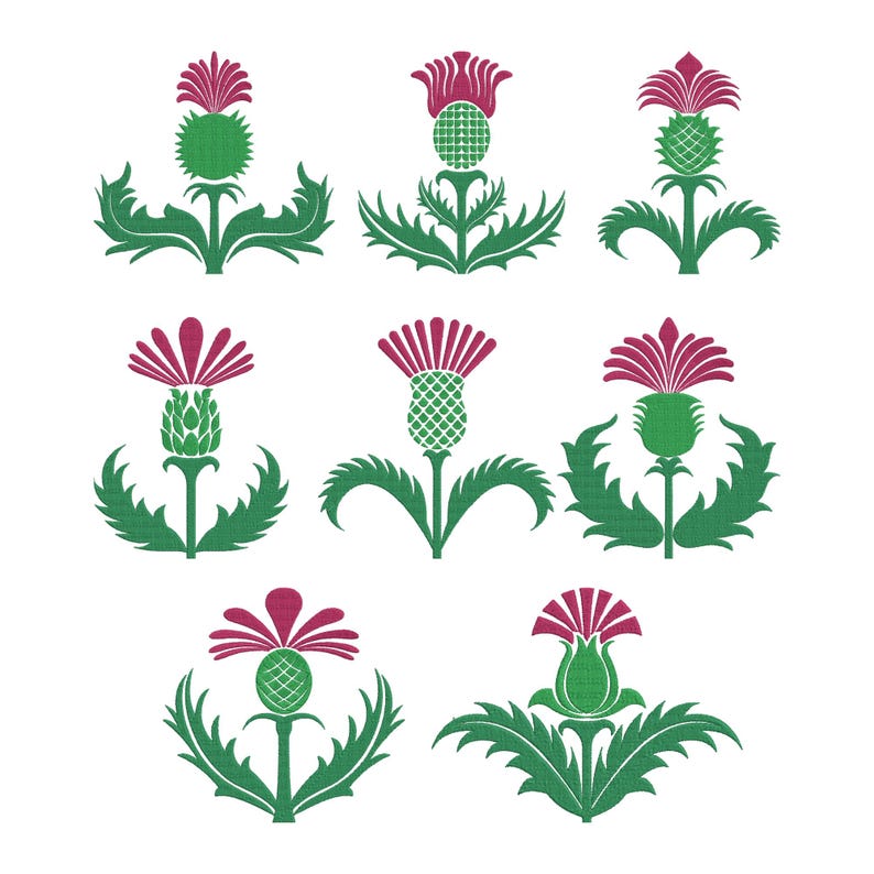 Scottish Thistle Scotland Flower Design, Celtic Floral Emblem Highland ...