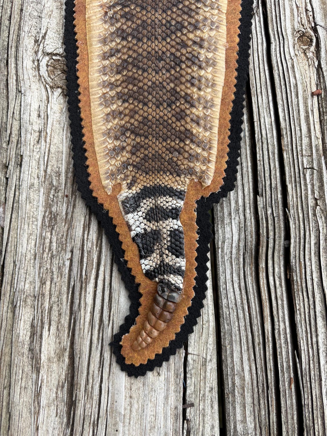 44" Western Diamondback Rattlesnake Skin - Etsy
