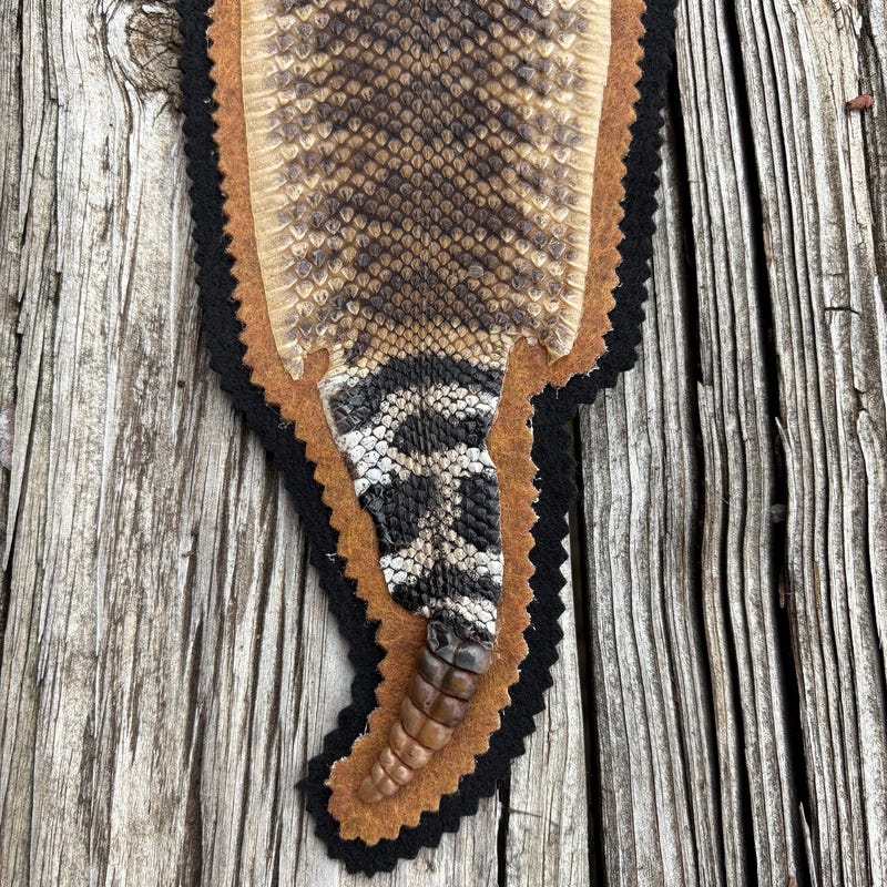 Rattlesnake Skin - Etsy