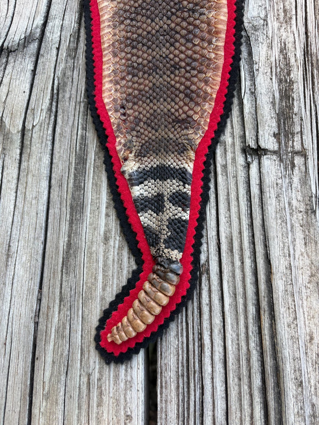 51" Western Diamondback Rattlesnake Skin - Etsy